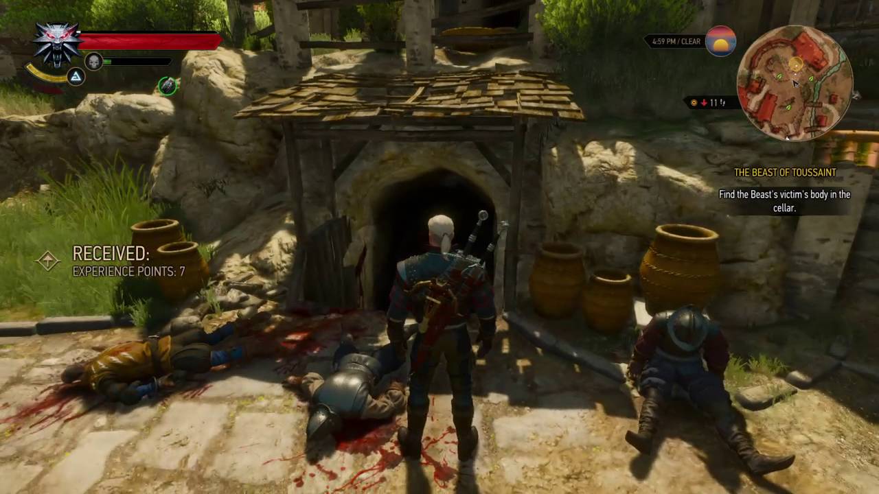 The Witcher 3: Blood and Wine - Bruxa Vampire fight - YouTube