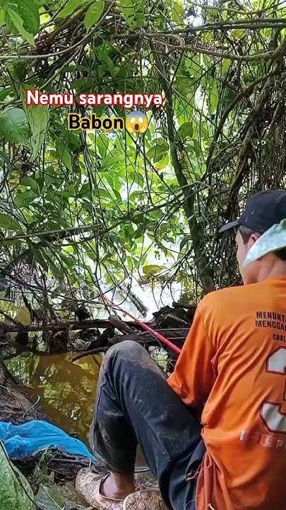 tidak perlu lama Umpan jatuh langsung di santap #mancing #fishing #mancingmania #bangabdul# ...