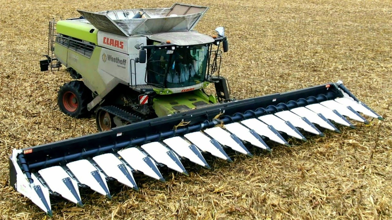 Claas Lexion 7600 TT | Olimac Drago 16 | WESTHOFF | 🇩🇪DT21 - YouTube