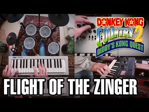🍌Flight of the Zinger - Donkey Kong Country 2 (Cover Remake)