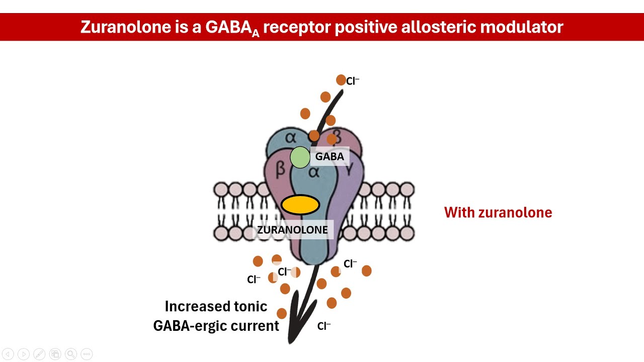 Zuranolone: A Game-Changer for Postpartum Depression Treatment ...