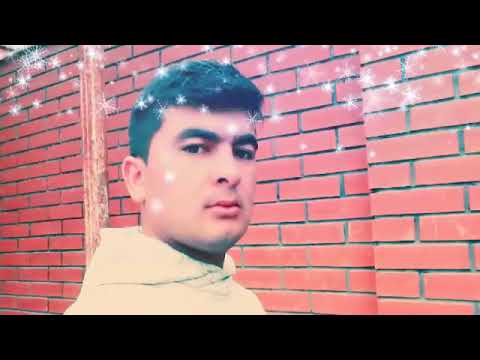 Шиносои Бо интернет