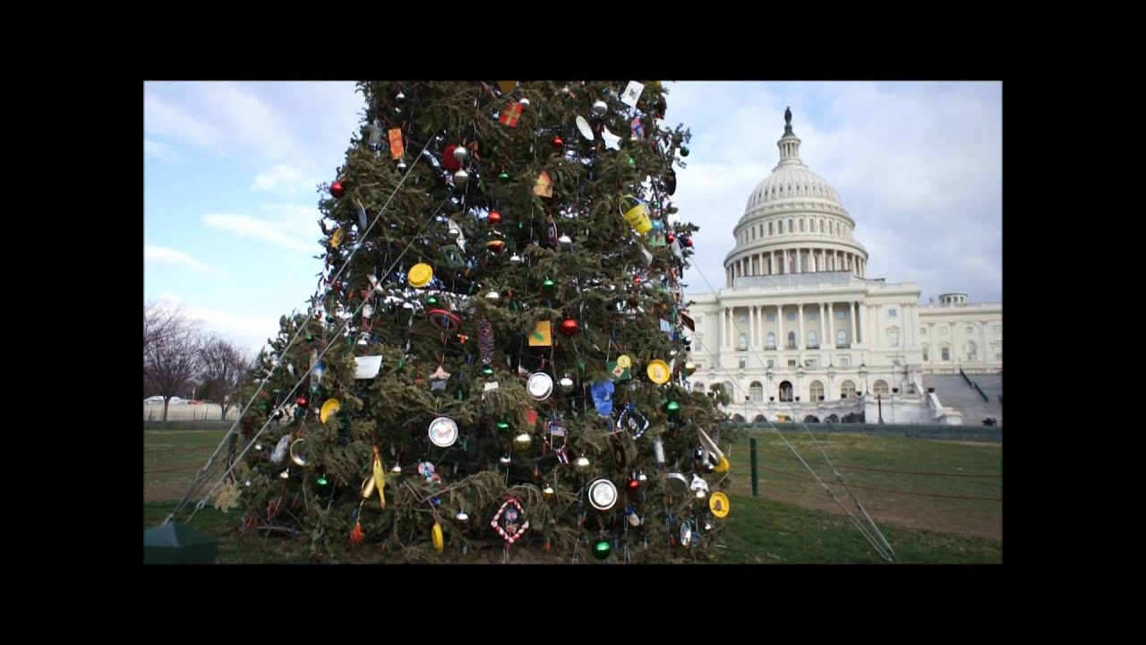 US Capitol Christmas Tree 2011 - YouTube