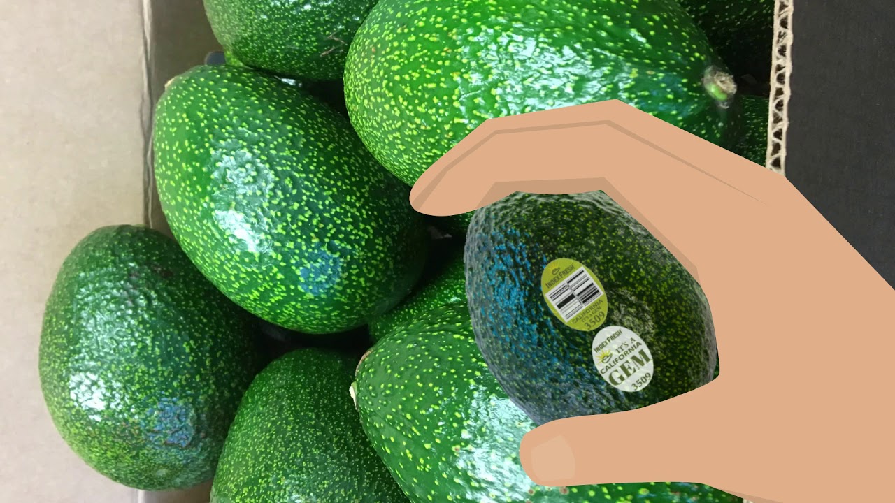 GEM avocados by Index Fresh - YouTube