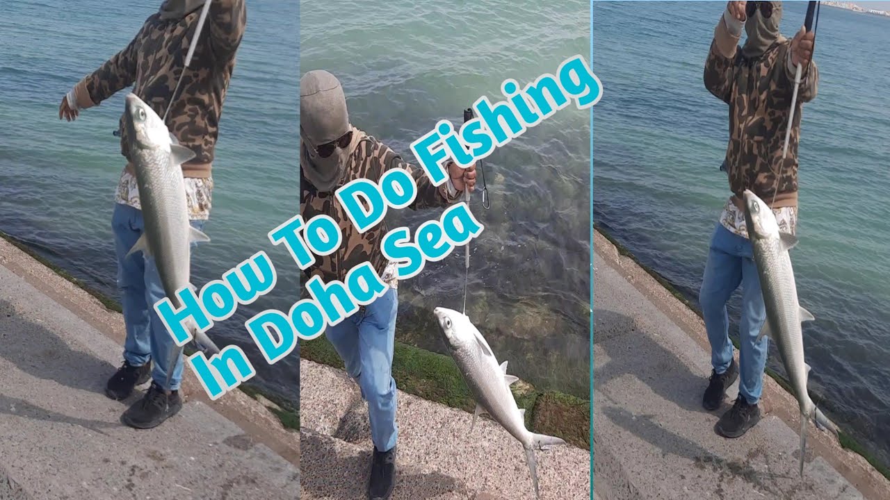 Doha Sea Fishing|Arabian Sea Fishing|Individual Fisherman|Fishing ...