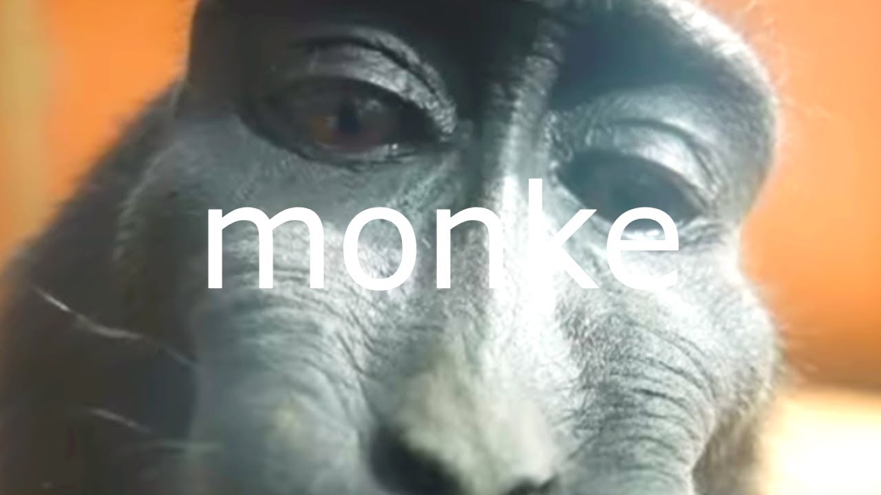 monke edit (lovely bastards) - YouTube
