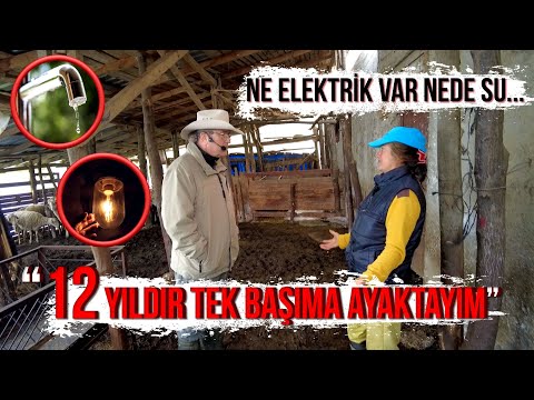 12 Yıldır TEK BAŞINA Ayakta Olan Bir Kadın Üretici... - Küçükbaş Dünyası