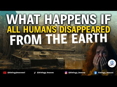 What If Happens All Humans Disappeared from the Earth | Can Restore ...