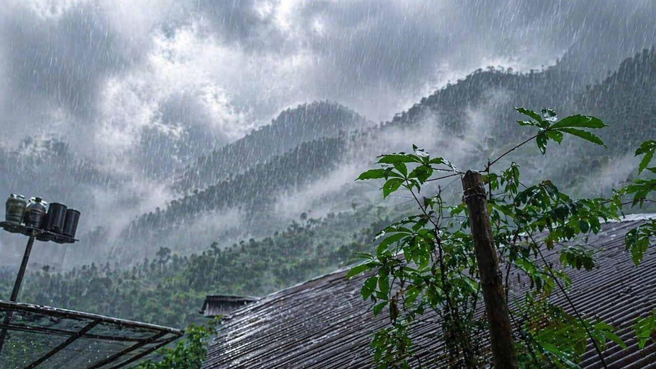 Relaxing Rain in the Countryside for Deep Sleep & Healing | Nature ...