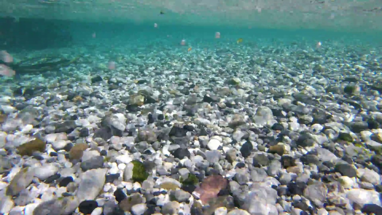 Hidden Paradise Lumi i Shalës - SHALA River / North Albania - YouTube