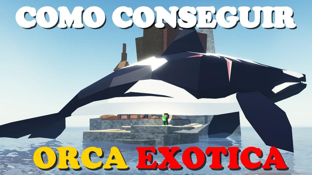como conseguir ORCA EXOTICA en FISCH ROBLOX - YouTube