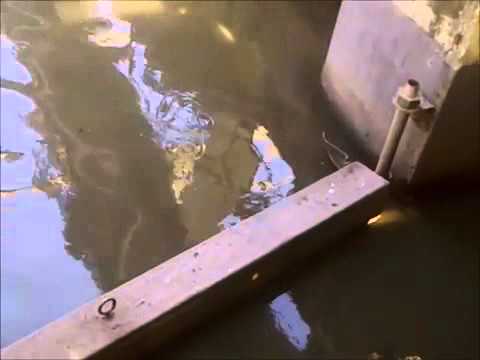 Scum Baffle for Waste Water Treatment - YouTube