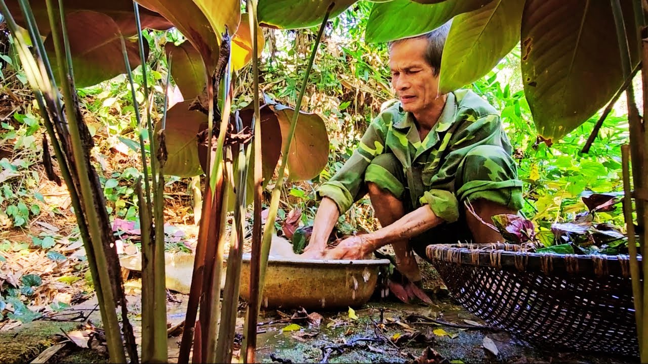 Green forest life, Go to the forest to get herbs, Drying medicinal ...