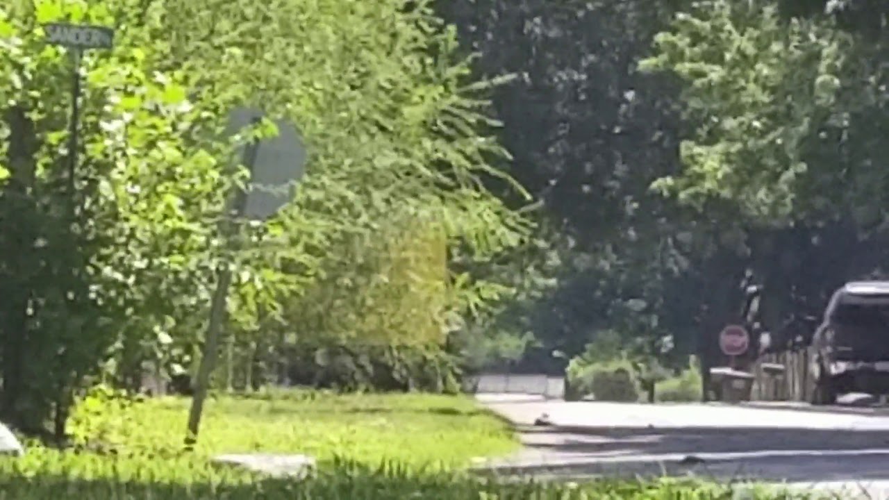 K5LA Horn SFX (Extended) - YouTube