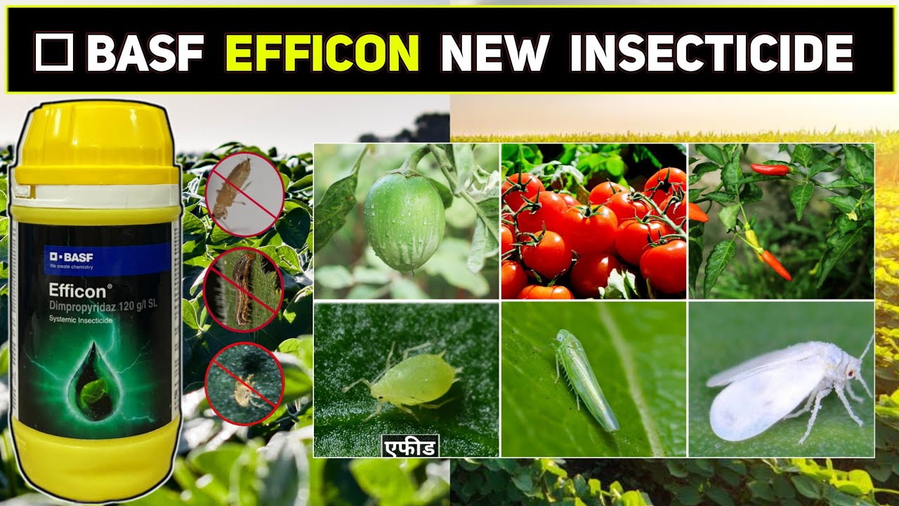 basf efficon || efficon new insecticide || Axalion Active mode of ...