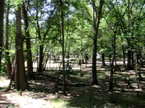 Sawmill Campground 3 gay boi's looking at nature in the woods - YouTube
