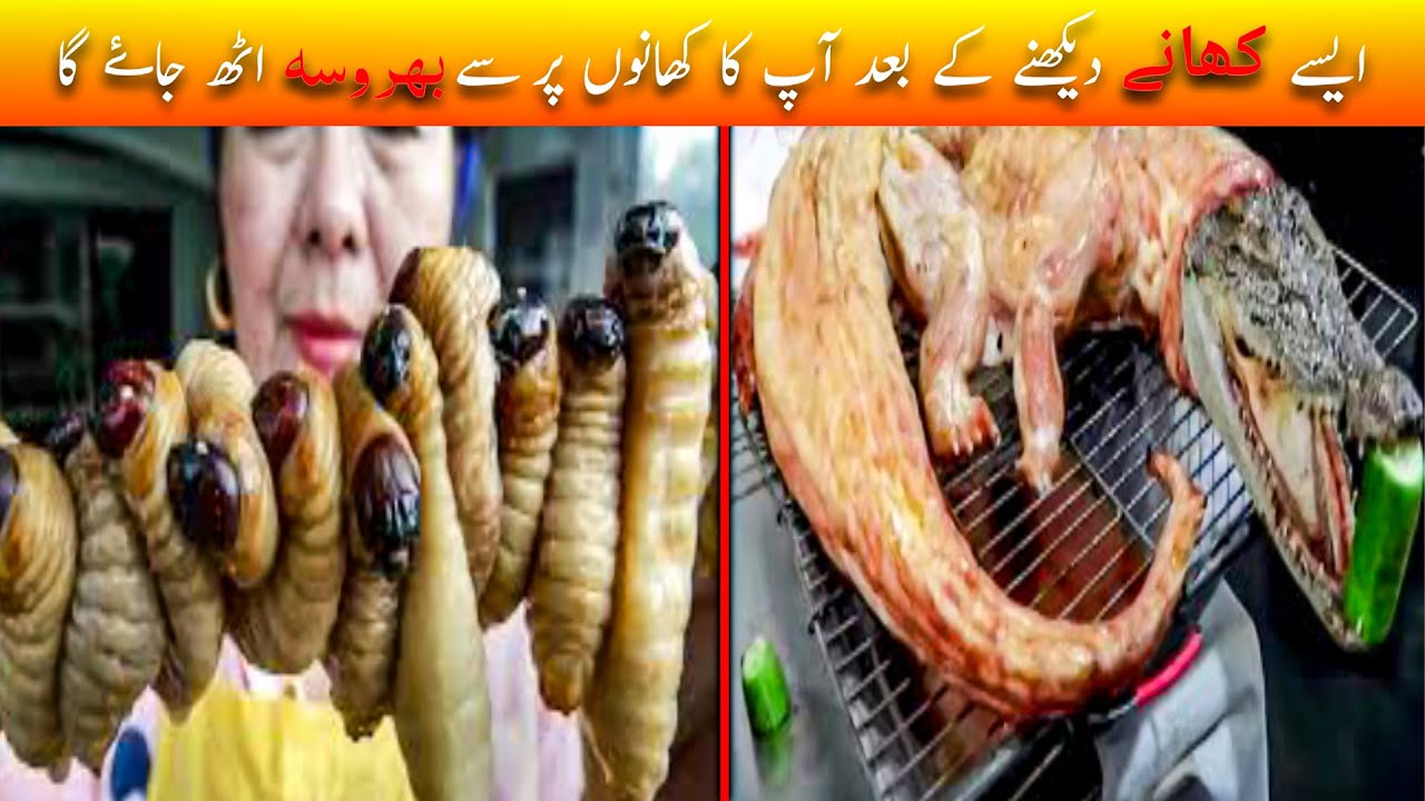 top 07 Strange and Surprising Foods of China | Exploring China's ...