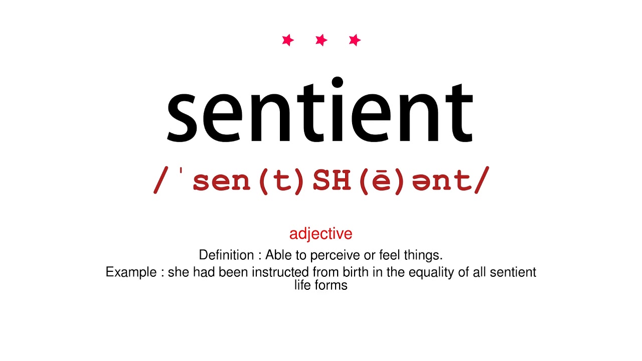 How to pronounce sentient - Vocab Today - YouTube