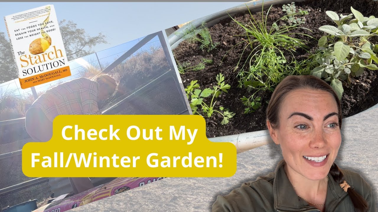 My Fall/ Winter Garden 2023 - YouTube