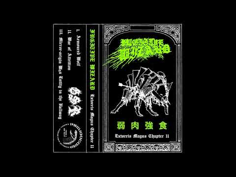 Fugitive Wizard - Extorris Magus (Full Series) OFFICIAL - YouTube