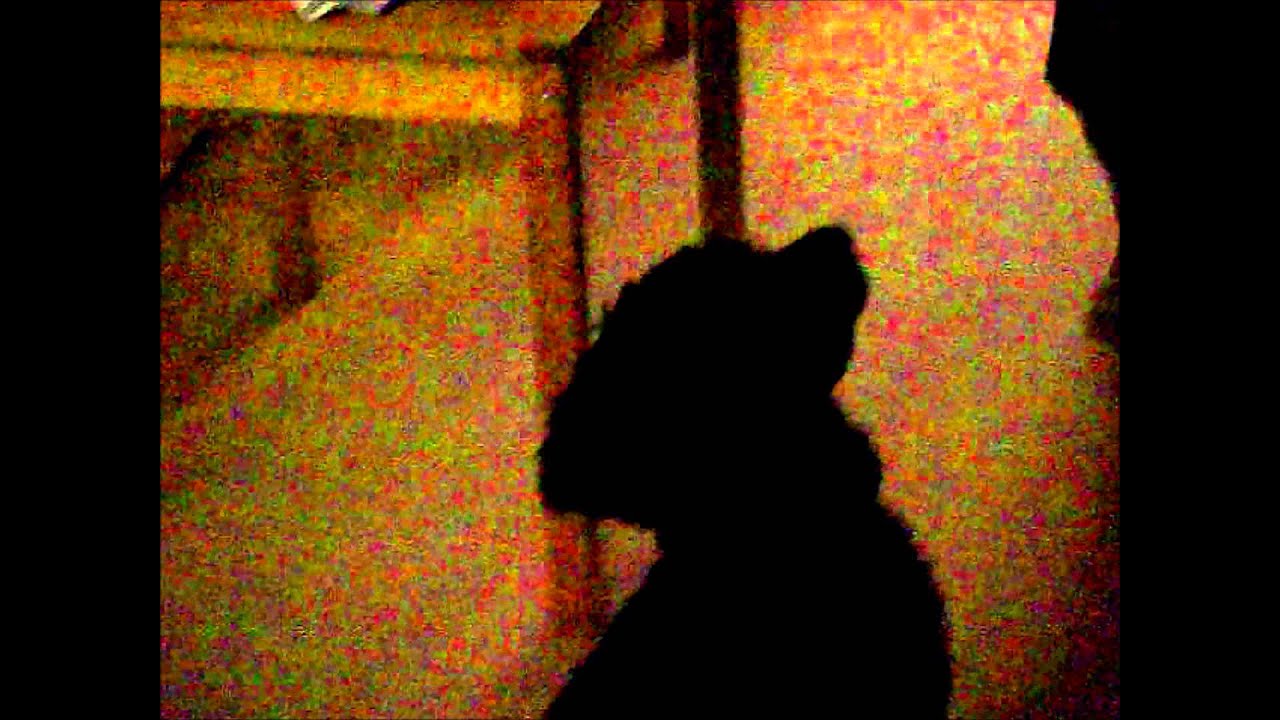 Harry Potter and the Brainless Dog - YouTube