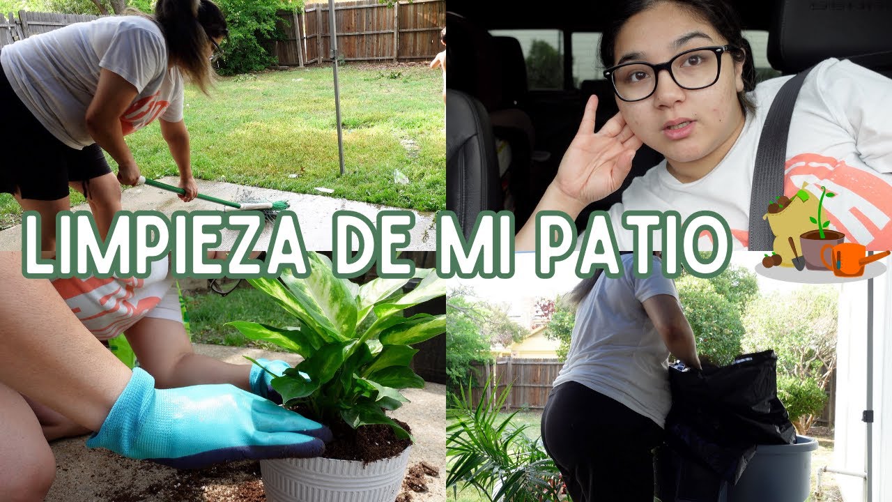 Limpiando El Patio + Compre Mas Plantas Para Mi Casa 🫣🪴 | 05.11.23 ...