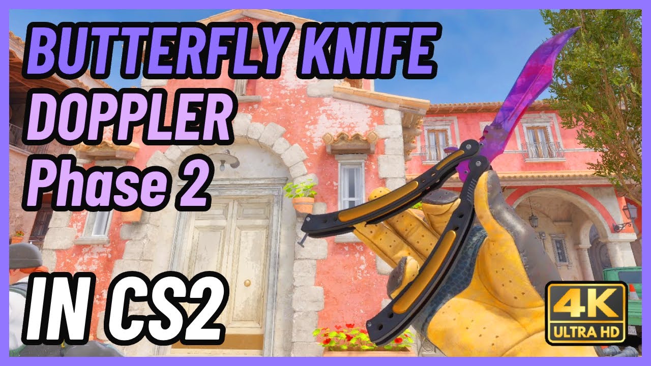 CS2 Butterfly Knife Doppler (Phase 2) | CS2 Knife In-Game Showcase [4K ...