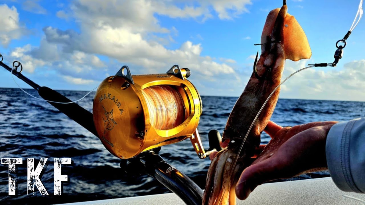 EPIC Offshore Fishing for Swordfish, Tuna, and Amberjack in Venice, LA ...