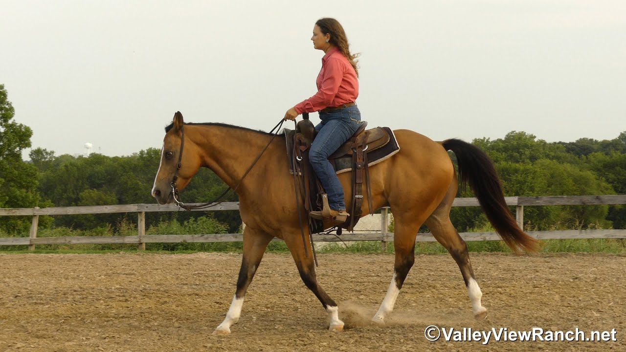Mack - turns, easy one-hand trot, lope-offs, big stops ...