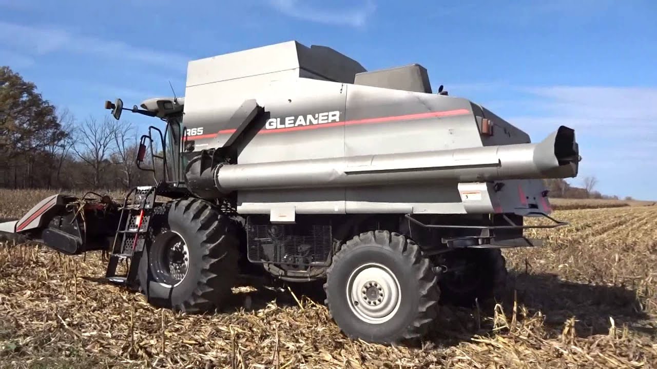Corn Harvesting with a 2006 Gleaner R65 Combine in Dansville, Michigan ...