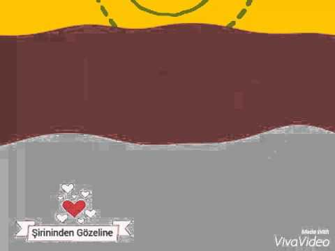 Ad günün mübarek canım bacım