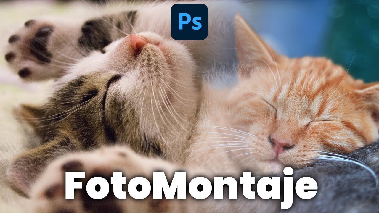 CREAR MASCARA DE CAPA ADOBE PHOTOSHOP SUPER RAPIDO | ADOBE PHOTOSHOP ...