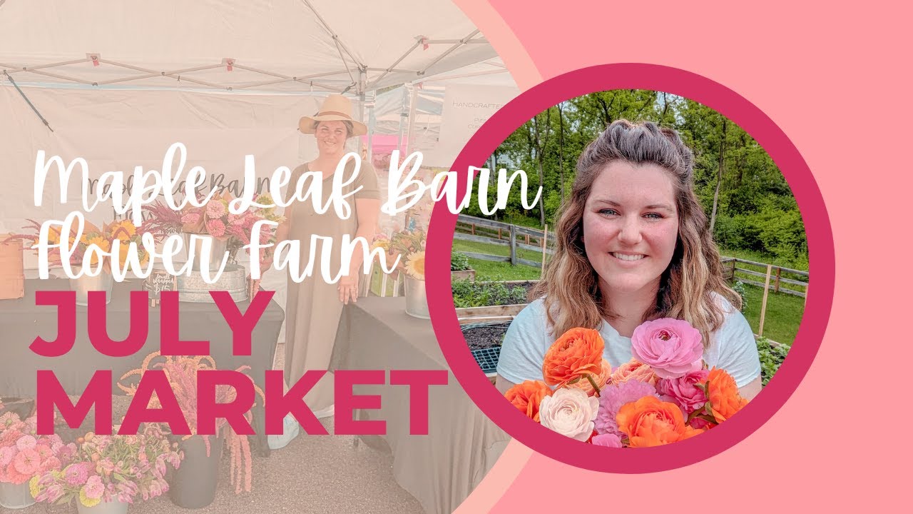 July Market | Flower Farm at July Farmers Market | Maple Leaf Barn ...
