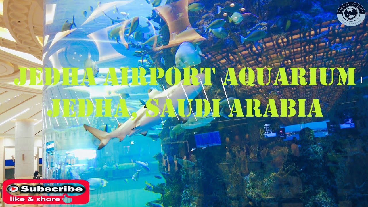 From ABHA to JEDHA: Embarking on a Once-in-a-Lifetime Journey to NEOM ...