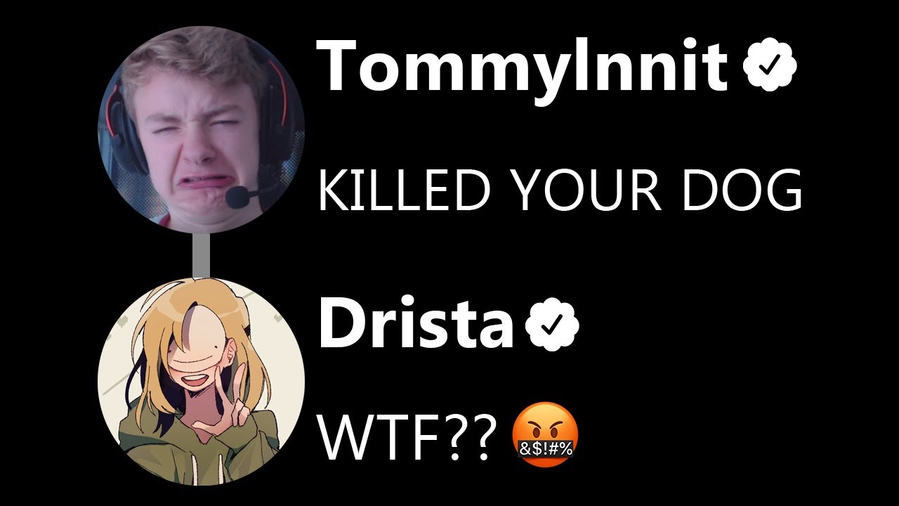 TommyInnit killed Drista's dog - YouTube