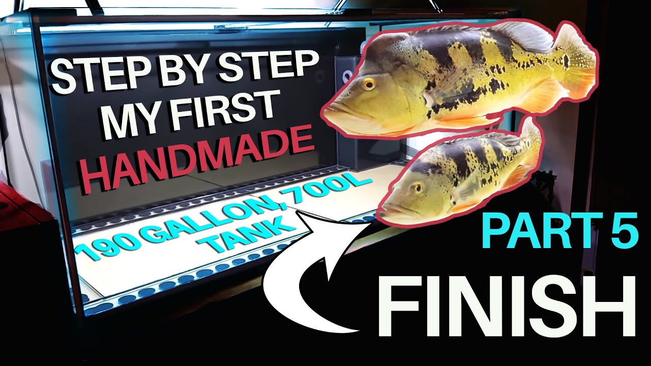 BUILDING MY FIRST HANDMADE 190 GALLON, 700l AQUARIUM STEP BY STEP PART ...