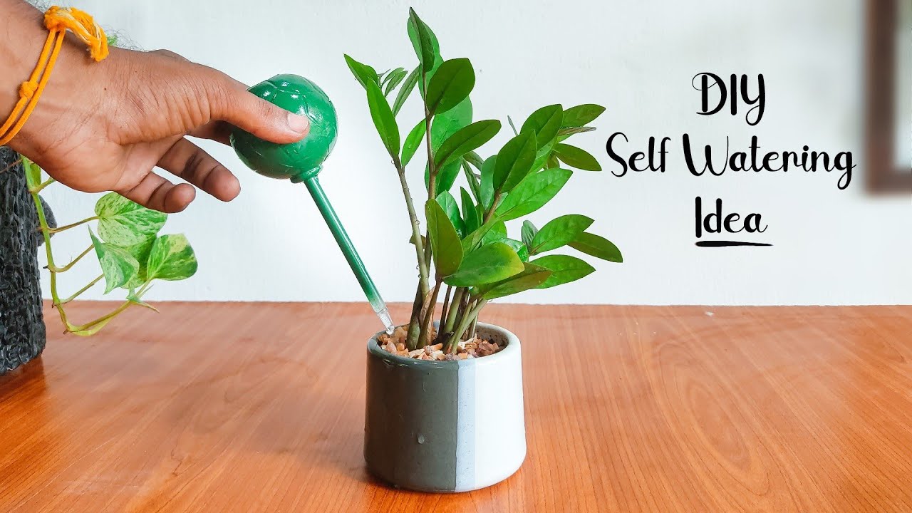 Easy & Useful Auto Watering Tool Making For Small Potted Plants ...