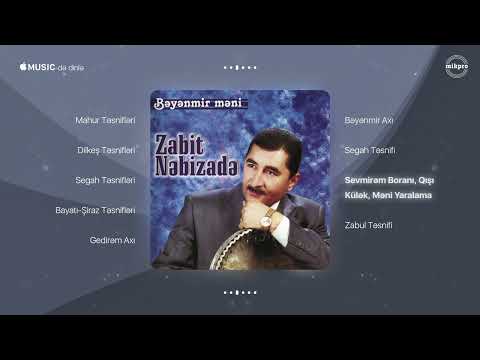 Zabit Nəbizadə — Sevmirəm Boranı, Qışı (Külək, Məni Yaralama) (Rəsmi Audio)