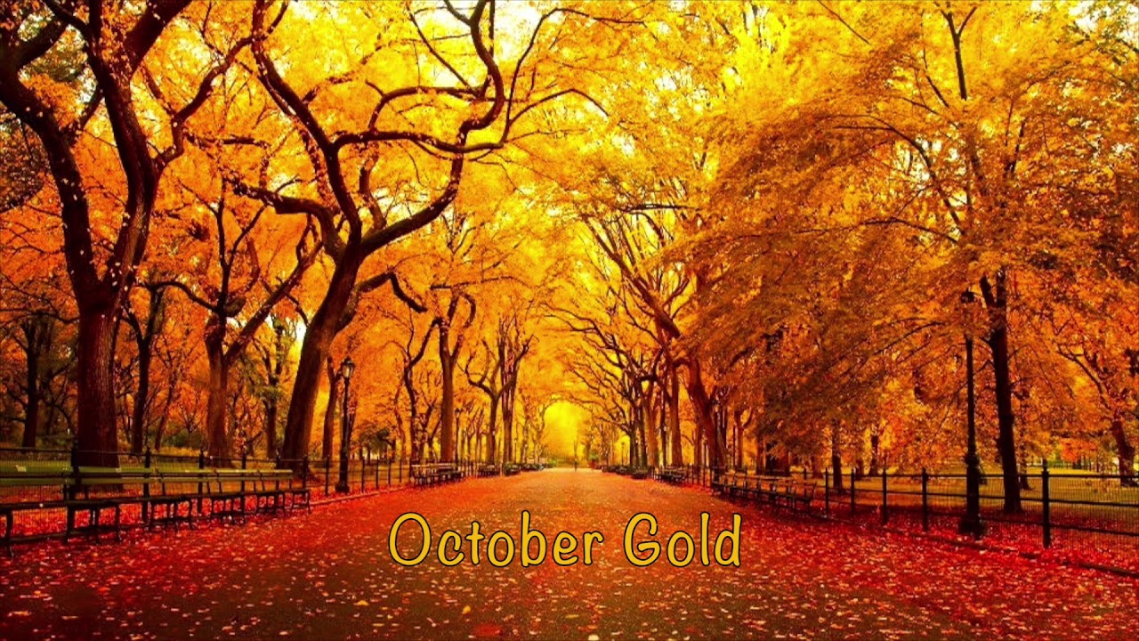 October Gold - Reflective Piano - YouTube