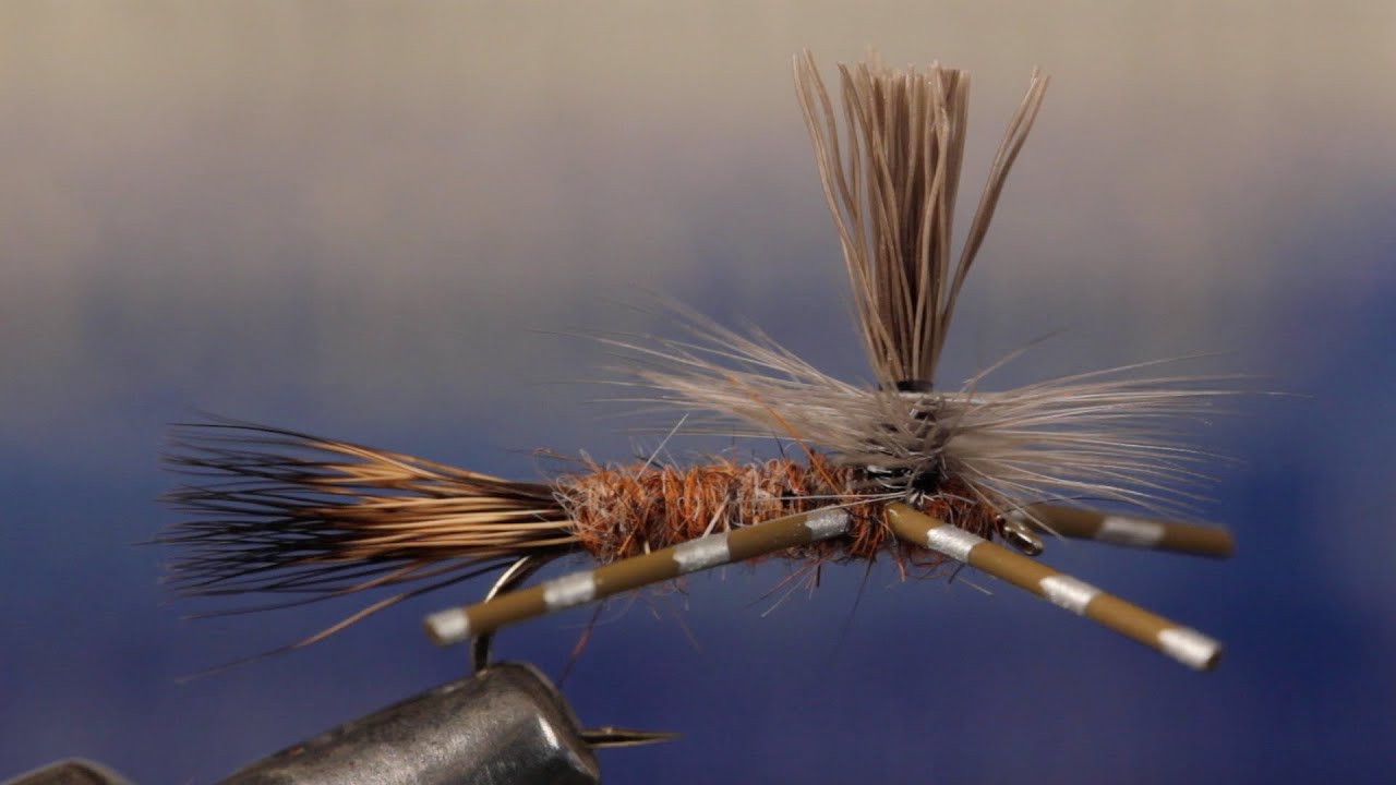 Iso Iso Baby - YouTube