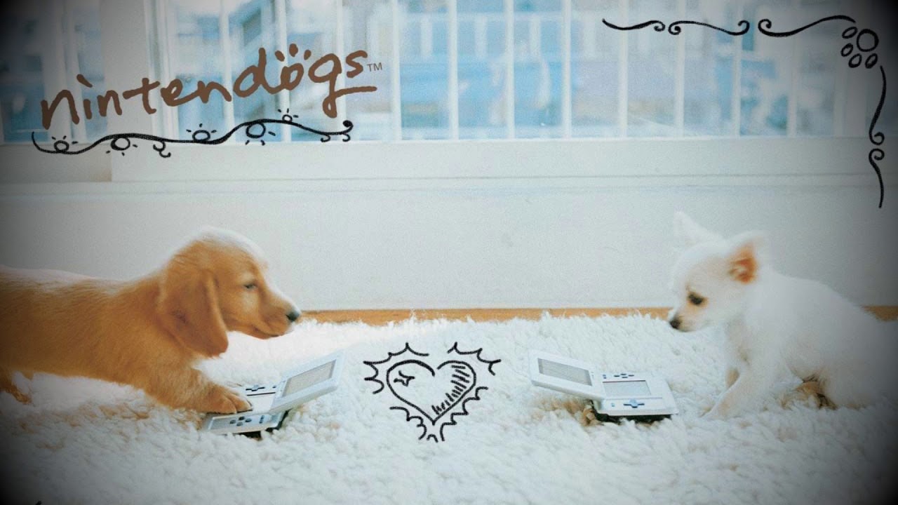 Nintendogs - Shopping Theme (Slowed + Reverb) - YouTube