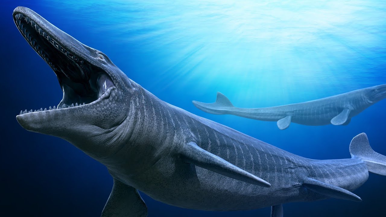 Mosasaurus - a Monster from the Deep - YouTube