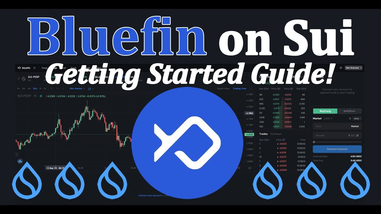 Sui Bridge Tutorial - Stouy Crypto