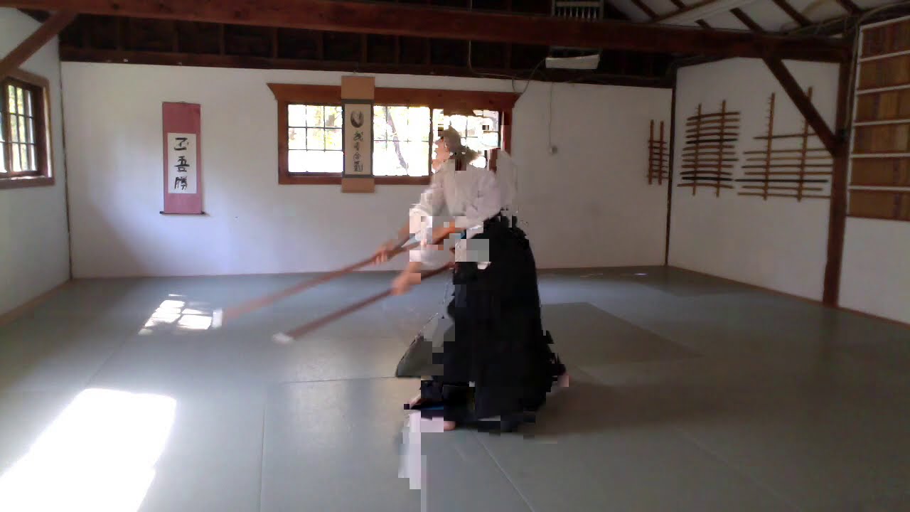Aikido - 22 Jo Kata - YouTube