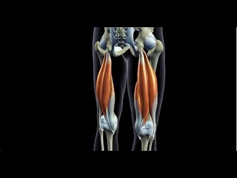 HAMSTRING INJURIES - Identifying and Preventing them - YouTube