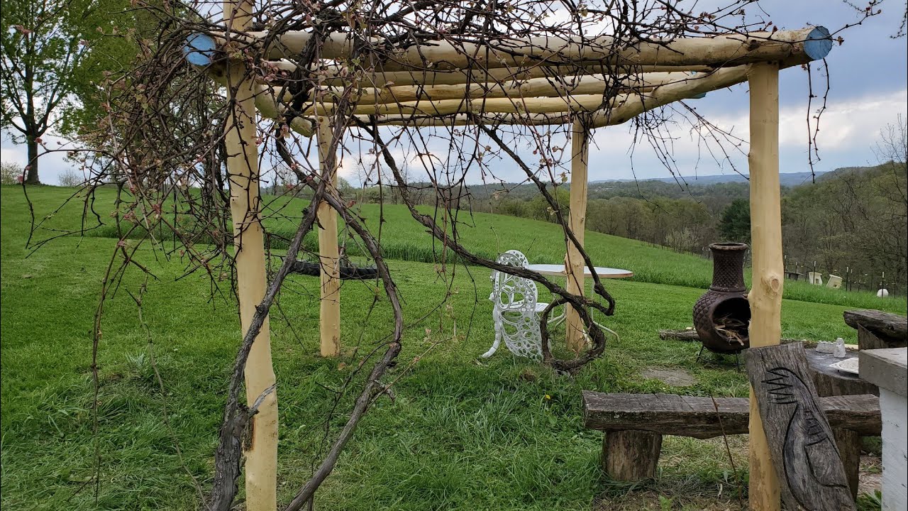 Building a Homemade Grape Arbor - YouTube