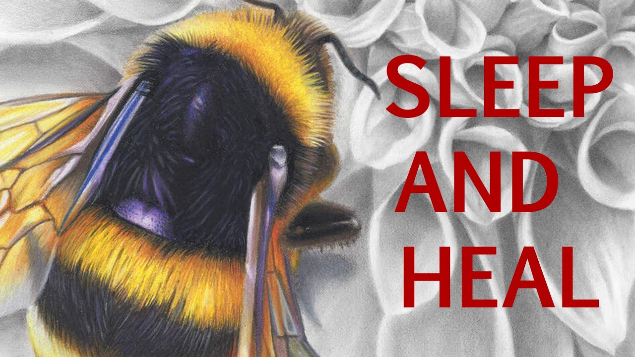 HEAL WHILE SLEEPING: Bee Hive Sounds 150Hz Universal Healing Frequency and Resonance - YouTube
