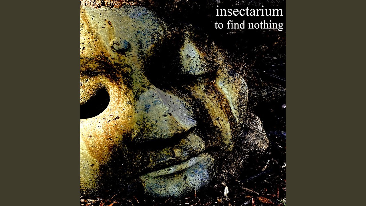 to find nothing - YouTube