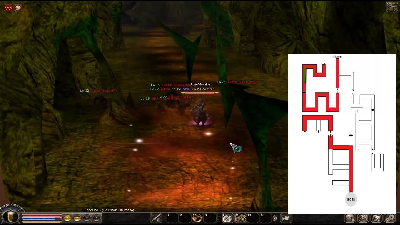 Metin2 Monkey Cave 1 /Temnita maimutei Usoare - Harta LIVE #Lv35Forever ...