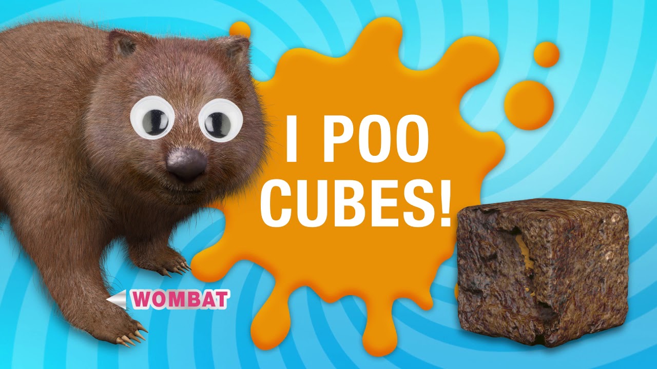 It Can't Be True! Poo! - YouTube